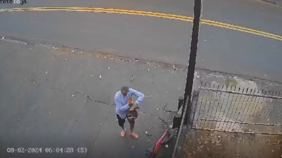 Em 2024... homem é flagrado furtando uma galinha na Zona Norte de ...