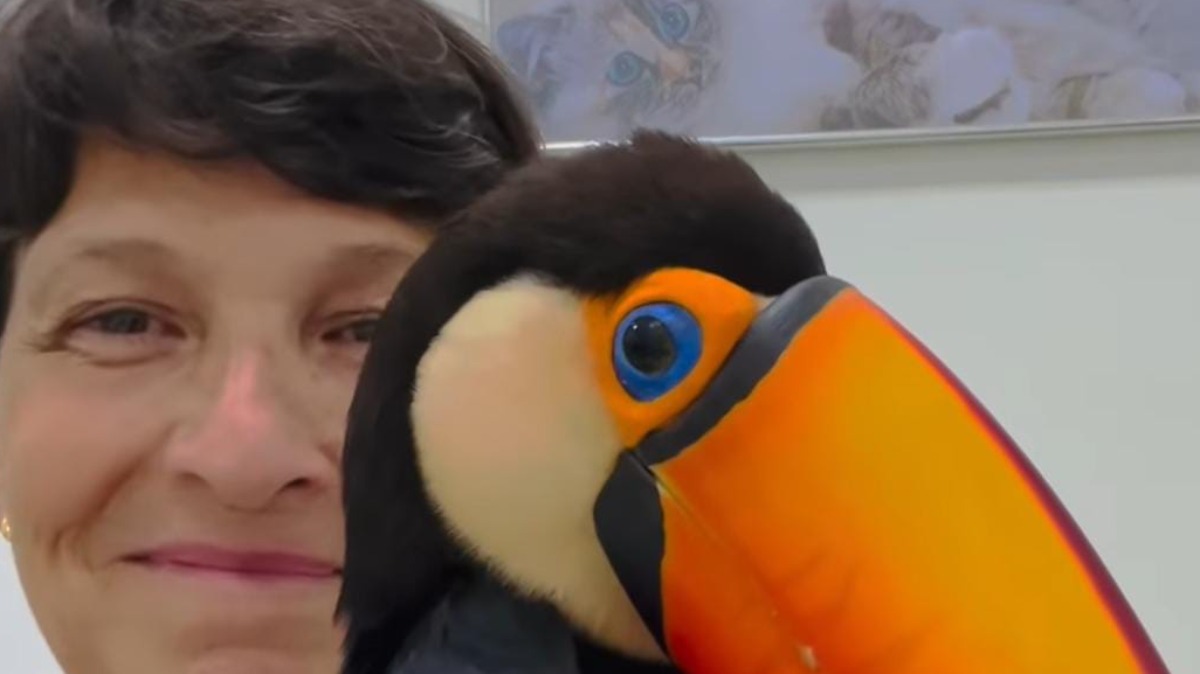 Conheça o trabalho da veterinária de Barretos que cuida de animais ...