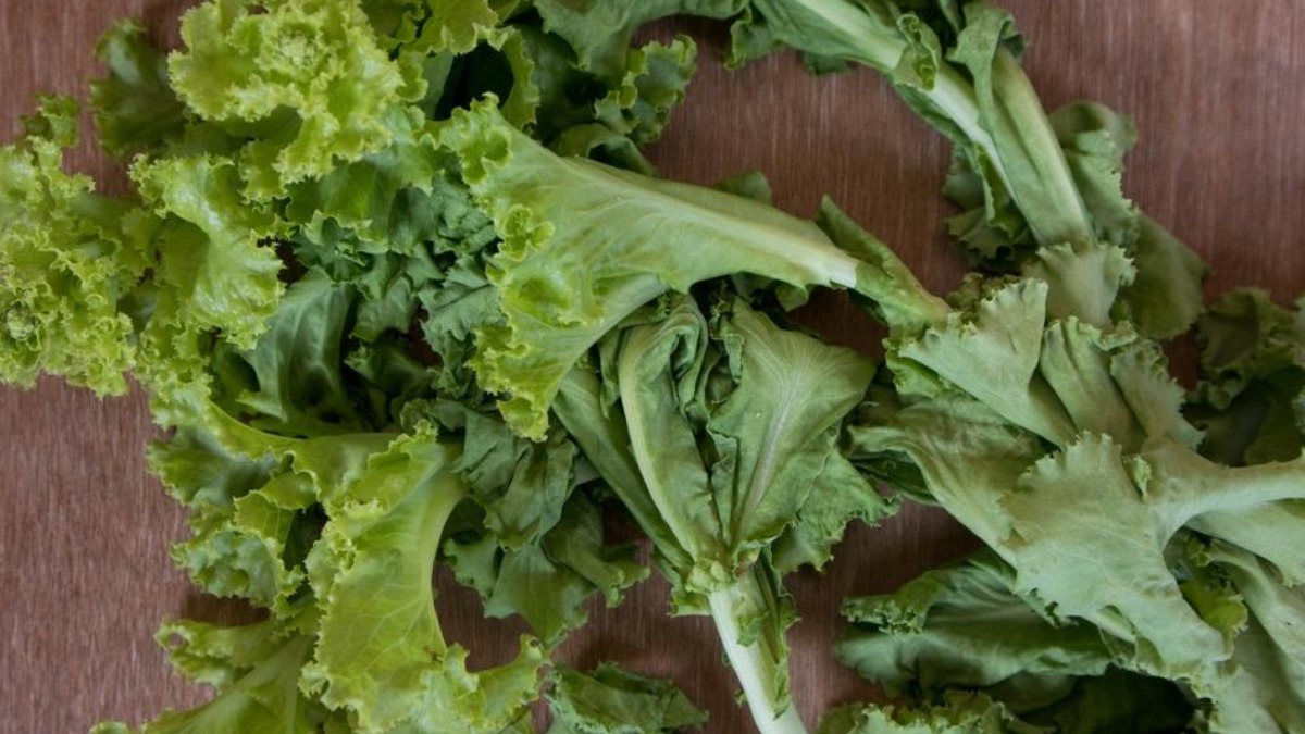 Onda De Calor Tem Impactado A Produção De Verduras Na Região De