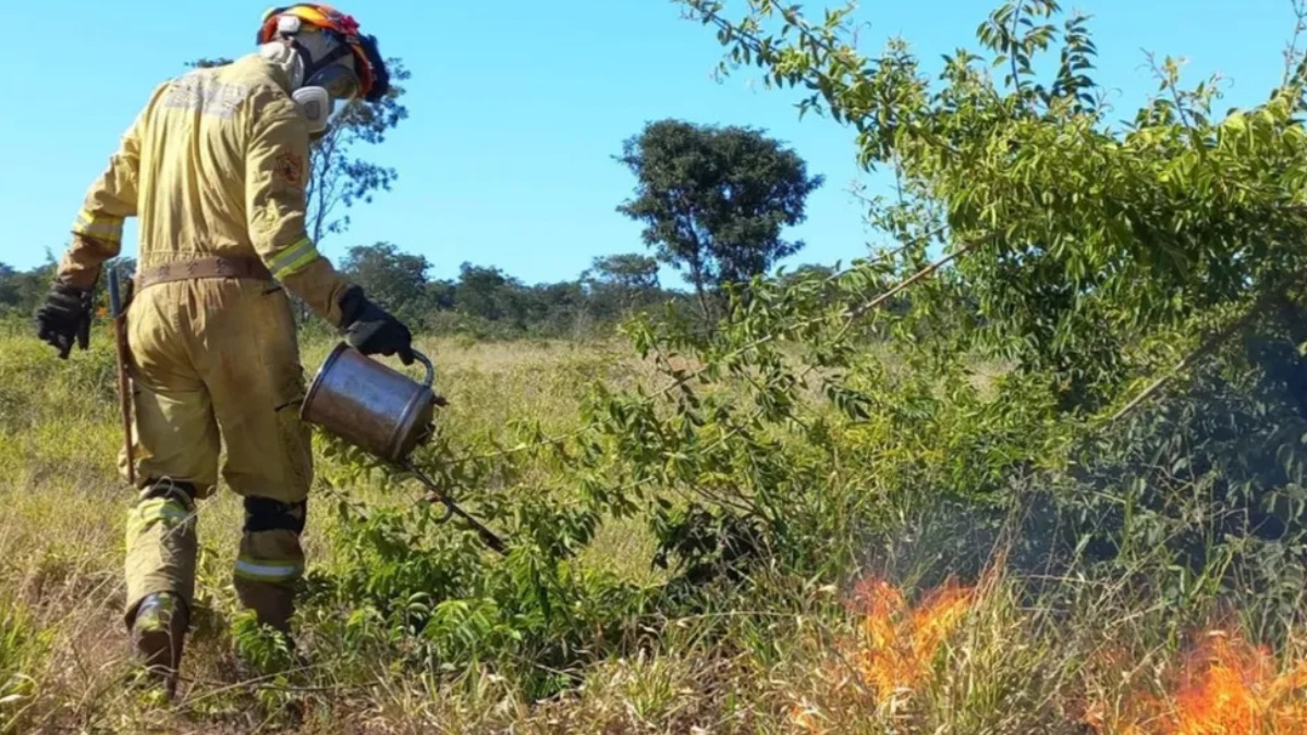 Secretaria de Meio Ambiente realiza queima controlada na reserva de ...
