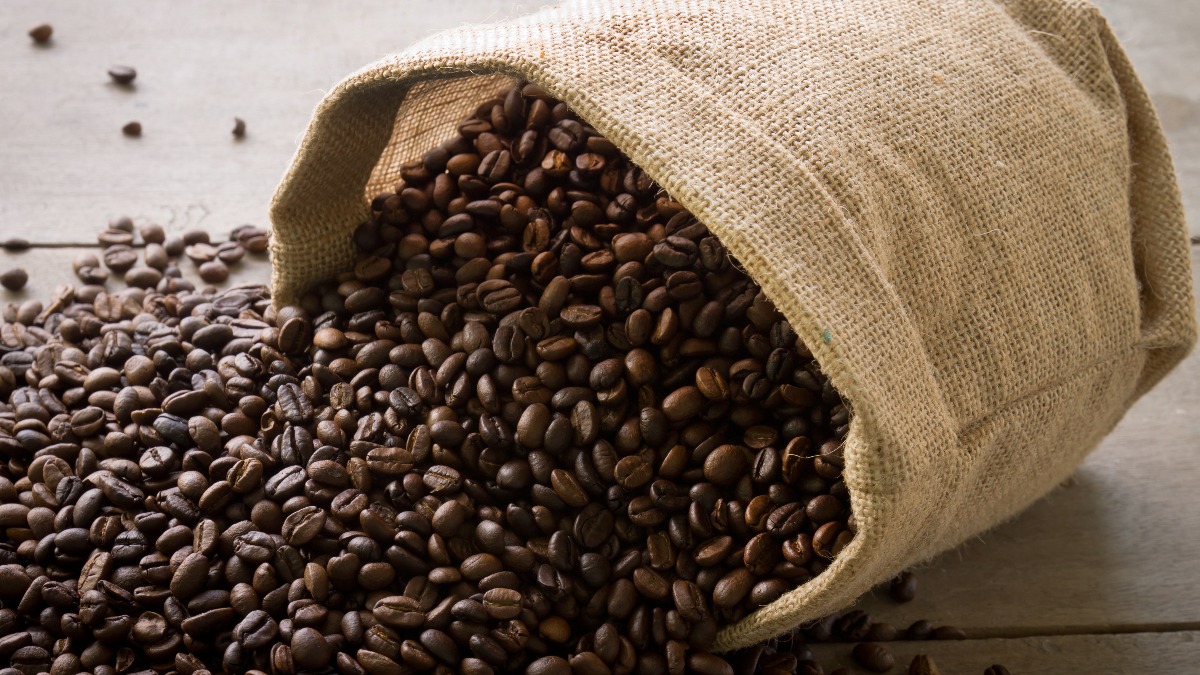 Conab estima que safra de café deve gerar 54 milhões de sacas em 2023 ...